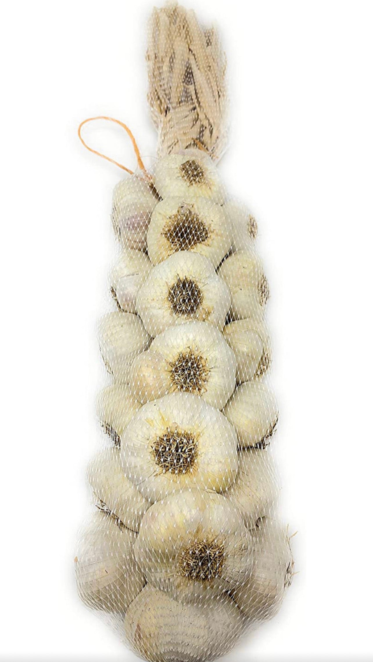 Fresh Gilroy Garlic Braids – GarlicShoppe.com